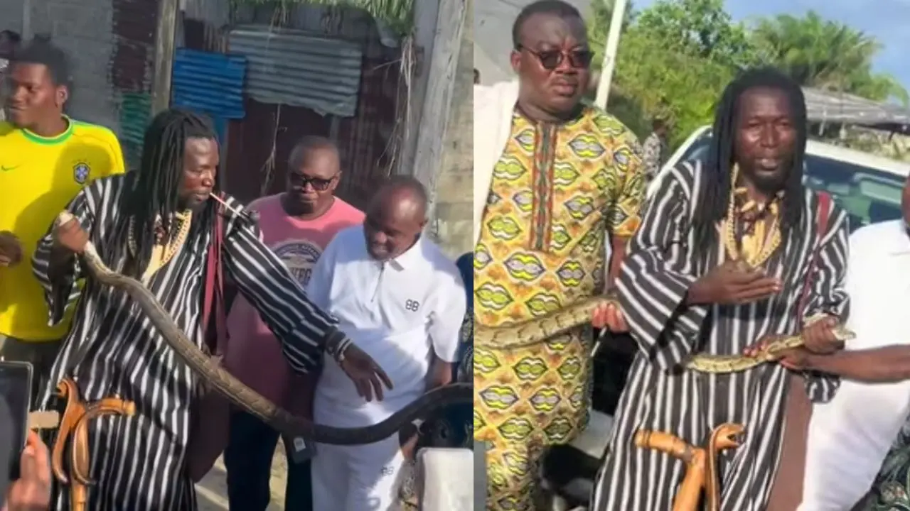 Cotonou/reptile signalé à Agla : Degaule PANDA sollicité, un Python de ...